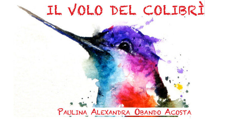 Il Volo del Colibrì libro di Paulina Alexandra Obando Acosta ...